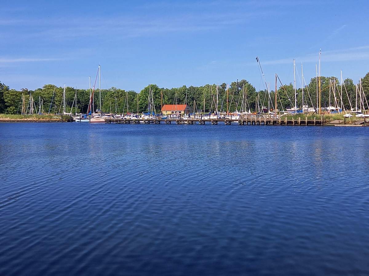 Top 5 Reasons to Visit Odense, Denmark’s Charming City – Nomadlytics