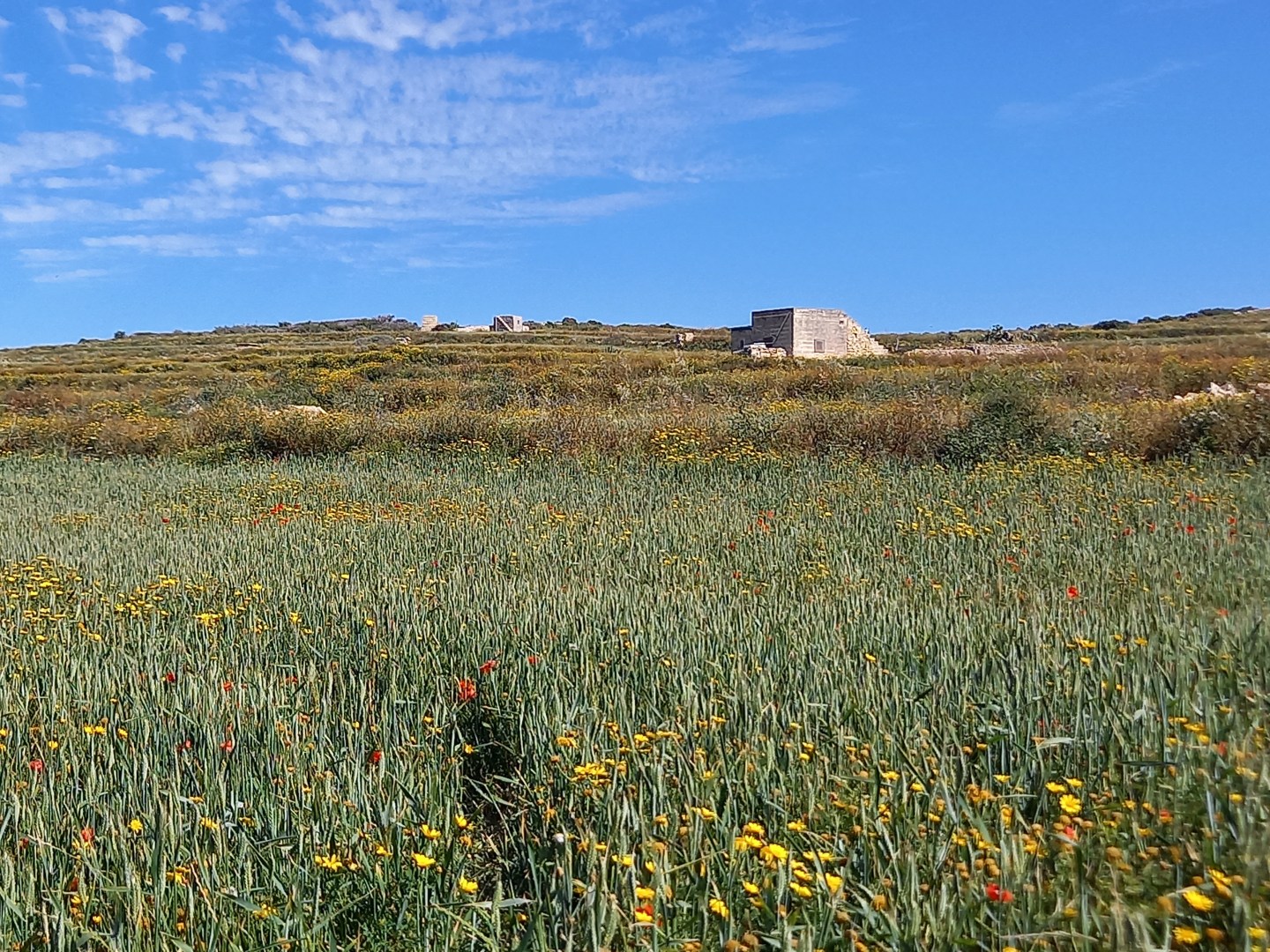 The Ultimate Guide to Hiking in Malta: Best Trails, Tips, and Scenic ...