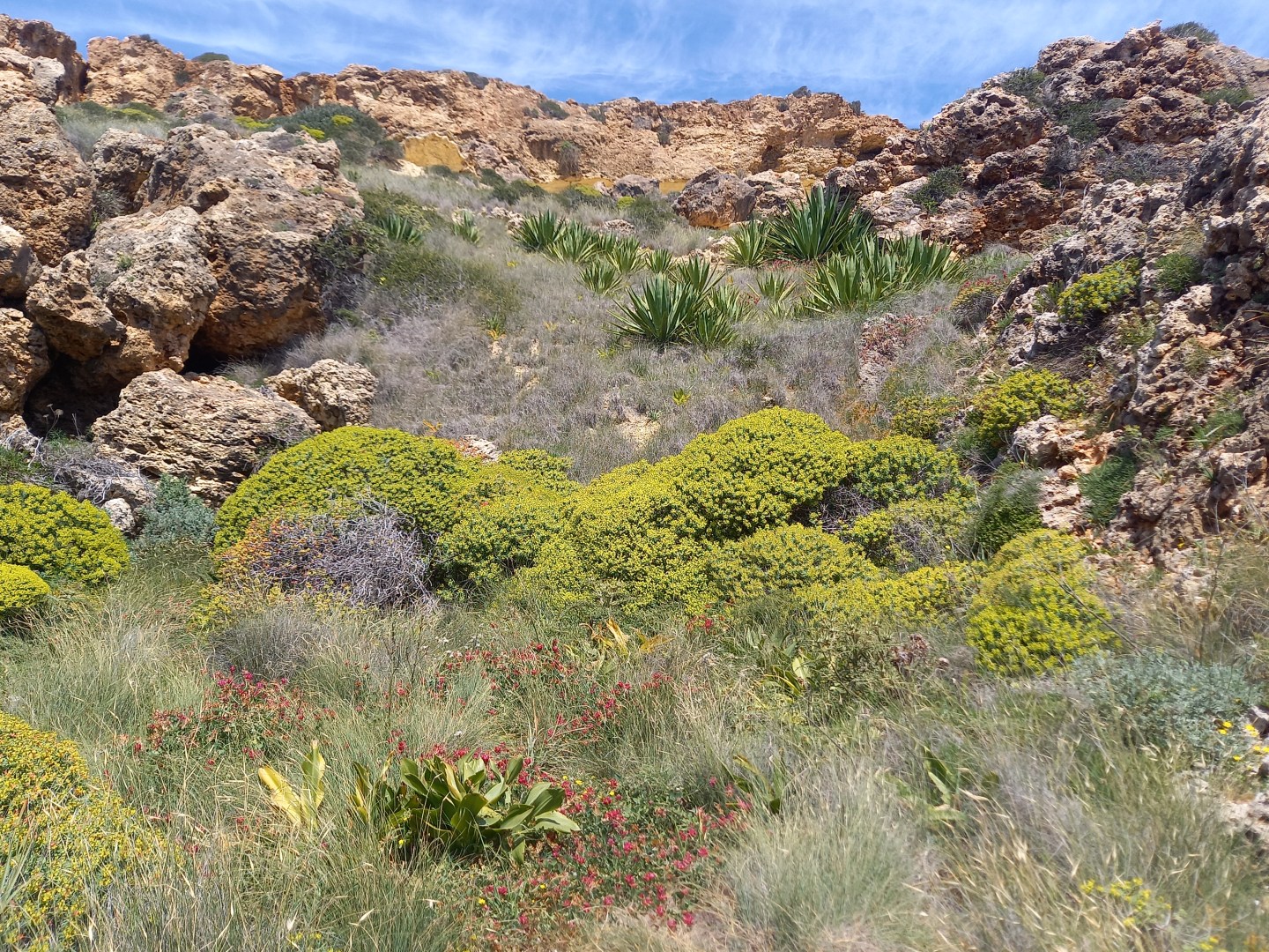 The Ultimate Guide to Hiking in Malta: Best Trails, Tips, and Scenic ...